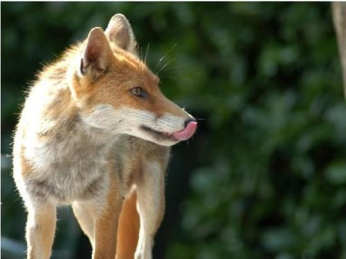 La Cittadella Dei Monti Sibillini, Montemonaco (updated prices 2025)