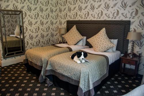 The Coed-Y-Mwstwr Hotel, Coychurch – Updated 2022 Prices