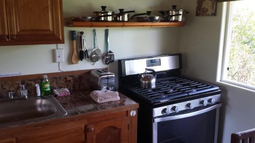 Robbrecht Troost Pottery, Pahoa – Updated 2023 Prices