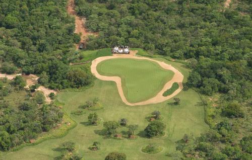 Legend Simba Safari - Legend Golf Safari Resort, Golders Green (updated ...