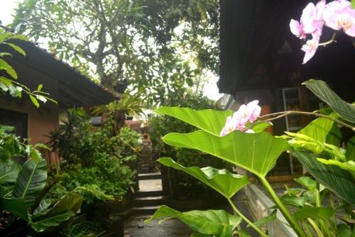 Manik House, Ubud (updated prices 2025)