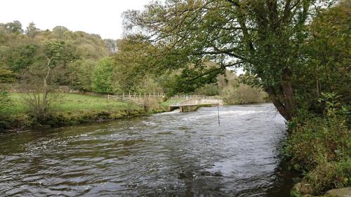 The Family Tree, Whatstandwell – Updated 2022 Prices