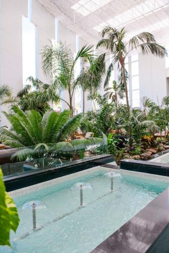 Spring Hotel Vulcano, Playa de las Americas (updated prices 2025)