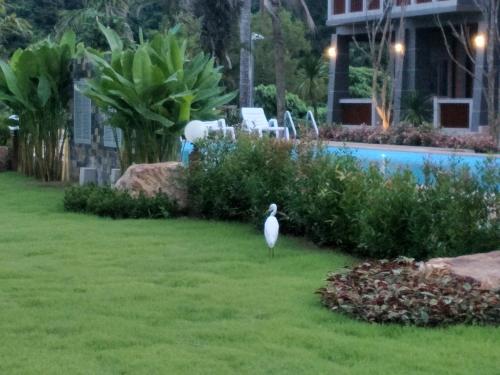 Lanta Infinity Resort - SHA Extra Plus, Ko Lanta (updated prices 2025)