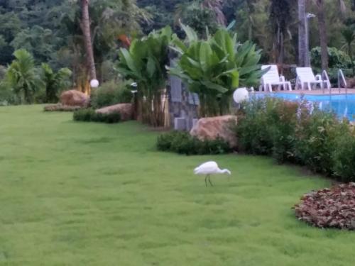 Lanta Infinity Resort - SHA Extra Plus, Ko Lanta (updated prices 2025)