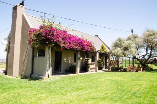 Lavinia Lifestyle, Stellenbosch (updated prices 2025)