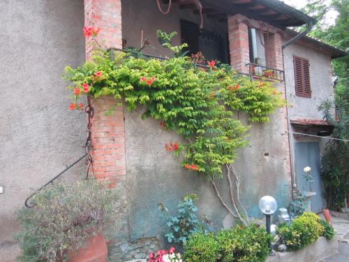 Agriturismo Il Colto, San Gimignano (updated prices 2025)