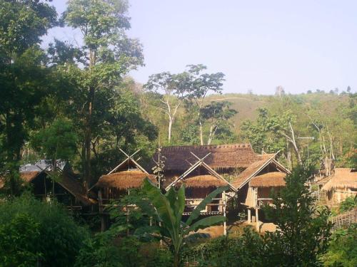 Hill Tribe Art House (Lahu & Akha Homestay), Ban Khrae Yao Doi Bo ...