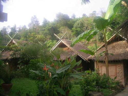 Hill Tribe Art House (Lahu & Akha Homestay), Ban Khrae Yao Doi Bo ...