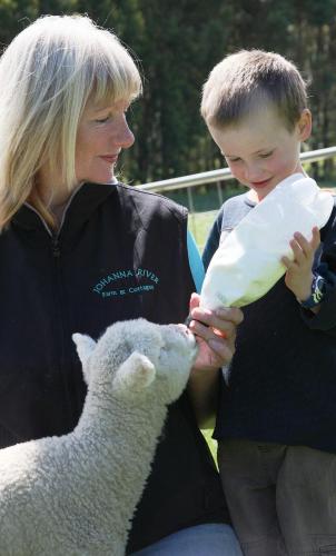Johanna River Farm & Cottages, Johanna (updated prices 2025)