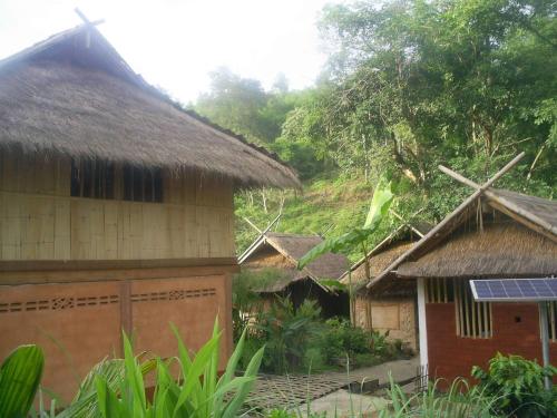 Hill Tribe Art House (Lahu & Akha Homestay), Ban Khrae Yao Doi Bo ...