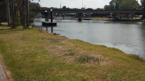 Hibiscus Lakeside Motel, Budgewoi (updated prices 2025)