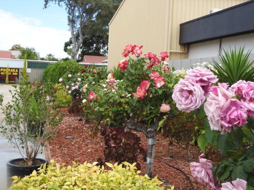 Pooraka Motor Inn, Mawson Lakes – Updated 2022 Prices