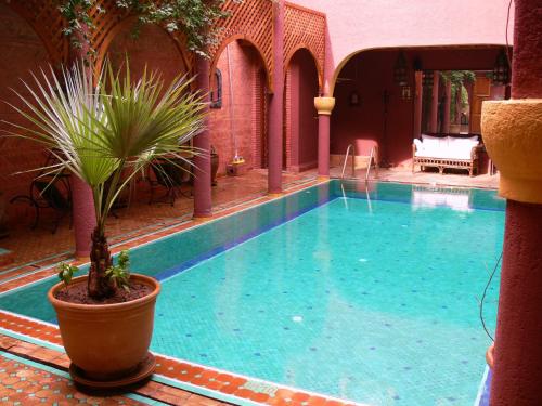 Riad Noga, Marrakech – Updated 2024 Prices