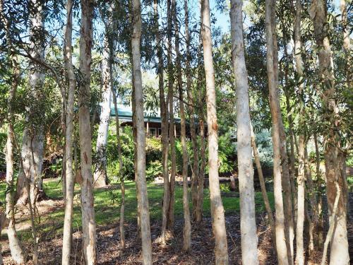 Lake Weyba Cottages Noosa, Peregian Beach (updated prices 2025)