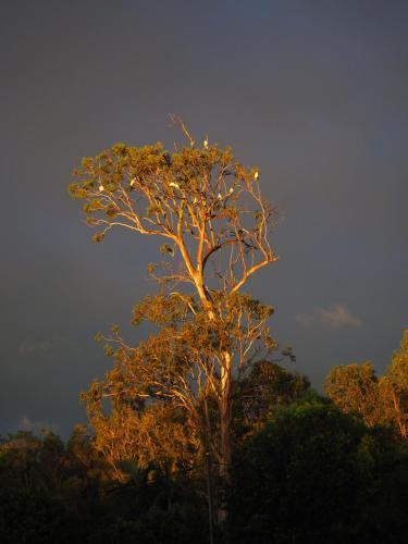 Lake Weyba Cottages Noosa, Peregian Beach (updated prices 2025)