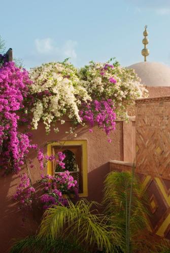 Riad Noga, Marrakech (updated prices 2025)