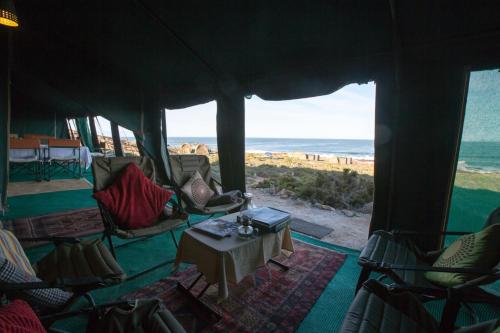 Luxury tent Namaqua Flowers Beach Camp, Strandfontein, South Africa ...