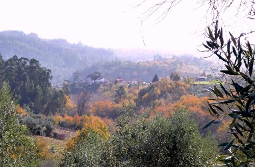 Casa da Casimira, Miranda do Corvo (updated prices 2025)