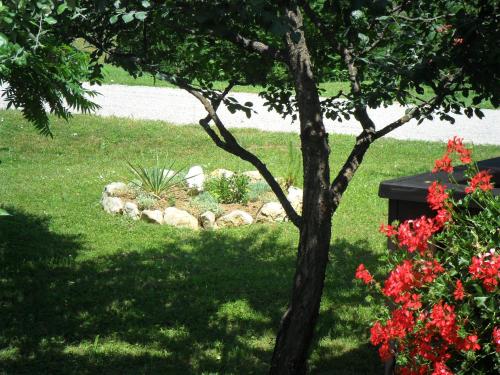 Guest Accommodation Marko Kesić, Grabovac (updated prices 2025)