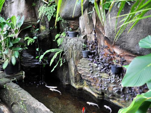 Pancer House, Ubud (updated prices 2025)