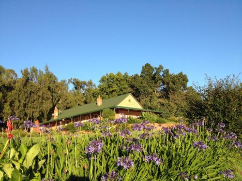 Tillietudlem Nature Reserve, Impendle (updated prices 2024)