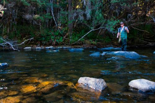 Tyenna River Cottages, Tyenna (updated prices 2025)