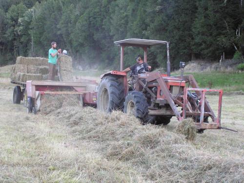 Ahaura Lodge & Waterwheel Farm Stay, Totara Flat (updated prices 2025)