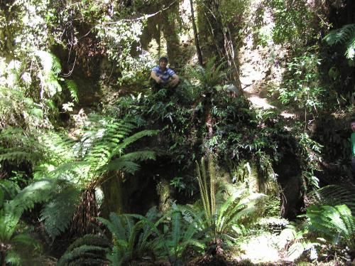 Ahaura Lodge & Waterwheel Farm Stay, Totara Flat (updated prices 2025)