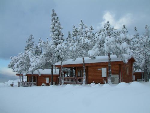 Ortal, Ortal – Updated 2022 Prices