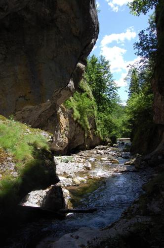 Complexul Turistic Cheile Butii, Câmpu lui Neag (prețuri actualizate 2025)