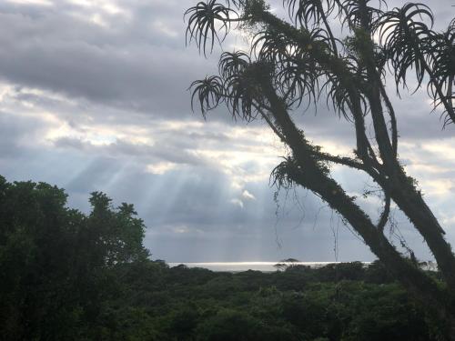 Ingwenya Lodge, St Lucia (updated prices 2025)