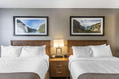 Quality Inn Corner Brook, Corner Brook – Updated 2023 Prices