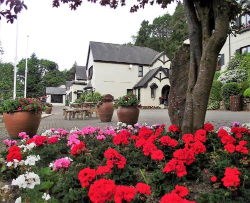 Aherlow House Hotel & Lodges, Aherlow – Updated 2023 Prices