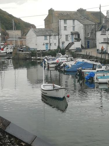 The House on the Props, Polperro (updated prices 2025)