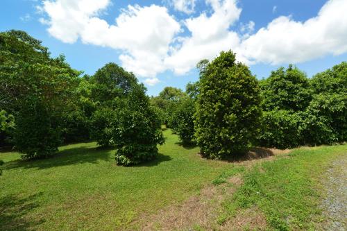 Tea Tree Cottage, Diwan (updated prices 2025)