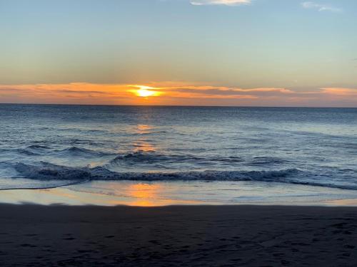 Divino Sol, Sardina (updated prices 2025)