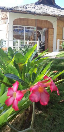 Coco Cabana Romblon, Romblon (updated prices 2025)