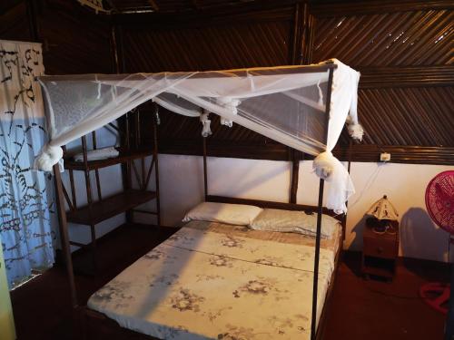 CHEZ ALEX, Nosy Be (updated prices 2025)