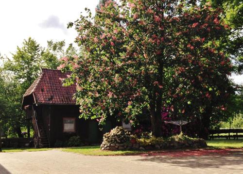 Reiterhof Winandy, Wietzendorf (updated prices 2025)