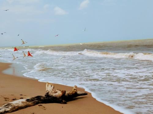 Playa Kai Glamping, La Punta de los Remedios (updated prices 2025)