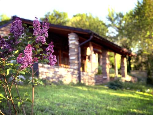 Zdravkovac Country Club, Jarmenovci (updated prices 2025)