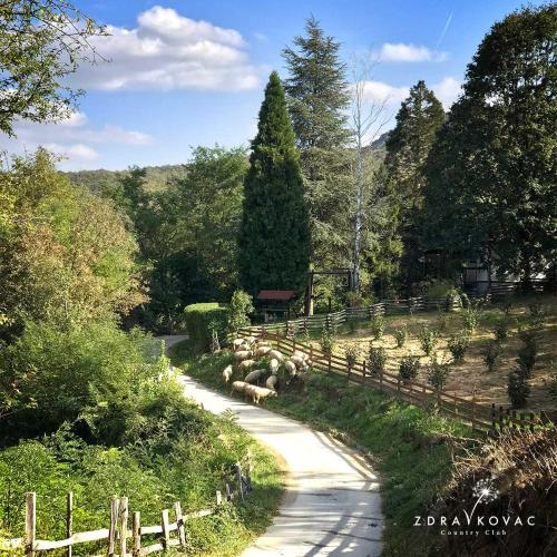 Zdravkovac Country Club, Jarmenovci (updated prices 2025)