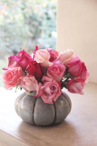 BELLA ROSA FARM, Midrand (updated prices 2025)