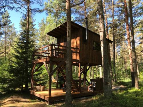 Tahkuna tree-house, Malvaste – Updated 2024 Prices