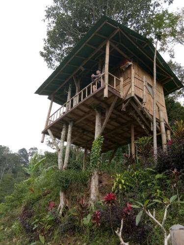 Bali Tree House Pelangi, Bedugul (updated prices 2025)