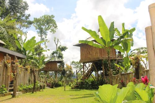 Bali Tree House Pelangi, Bedugul (updated prices 2025)