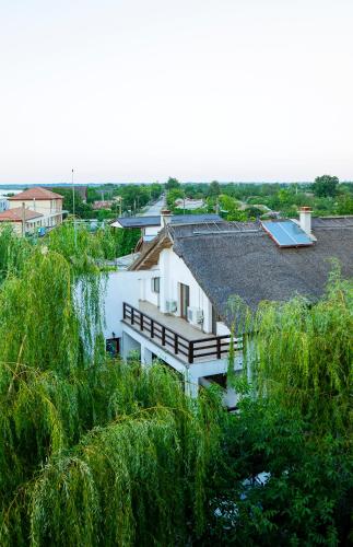 Califarul Alb, Chilia Veche (updated prices 2025)