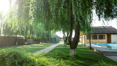 Califarul Alb, Chilia Veche (updated prices 2025)