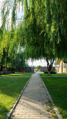 Califarul Alb, Chilia Veche (updated prices 2025)